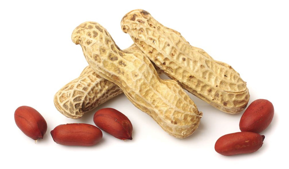 Raw In-Shell Valencia Peanuts – Delish Artisan Marketplace